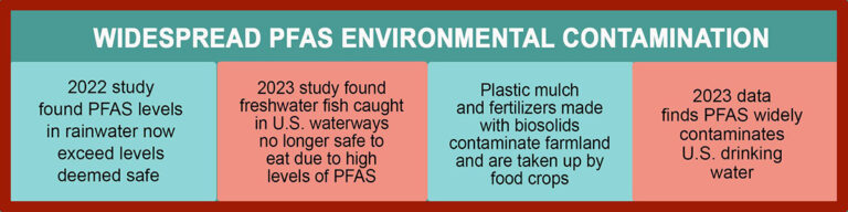 What are PFAS “Forever Chemicals” and How to Avoid Them - GMO / Toxin ...
