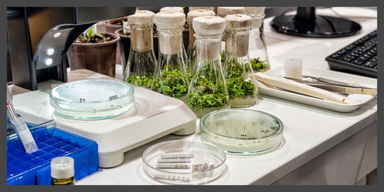 USDA Must Overhaul Outdated and Inadequate GMO Regulations - GMO ...